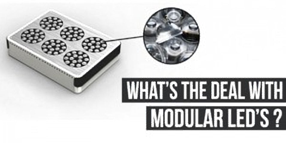 Modular LED's: What You Should Know Before You Buy
