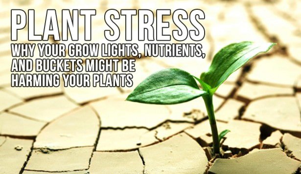 Plant Stress Guide 2019