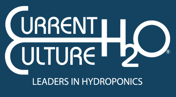 Current Culture H2O